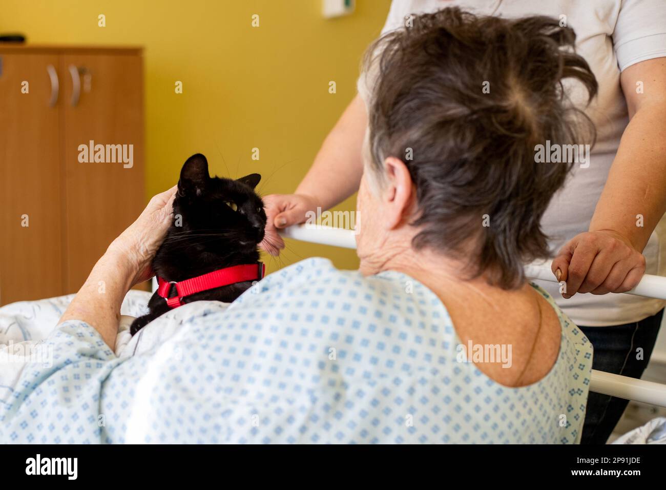 Ostrava, Czech Republic. 10th Mar, 2023. In the AGEL Hospital they are ...