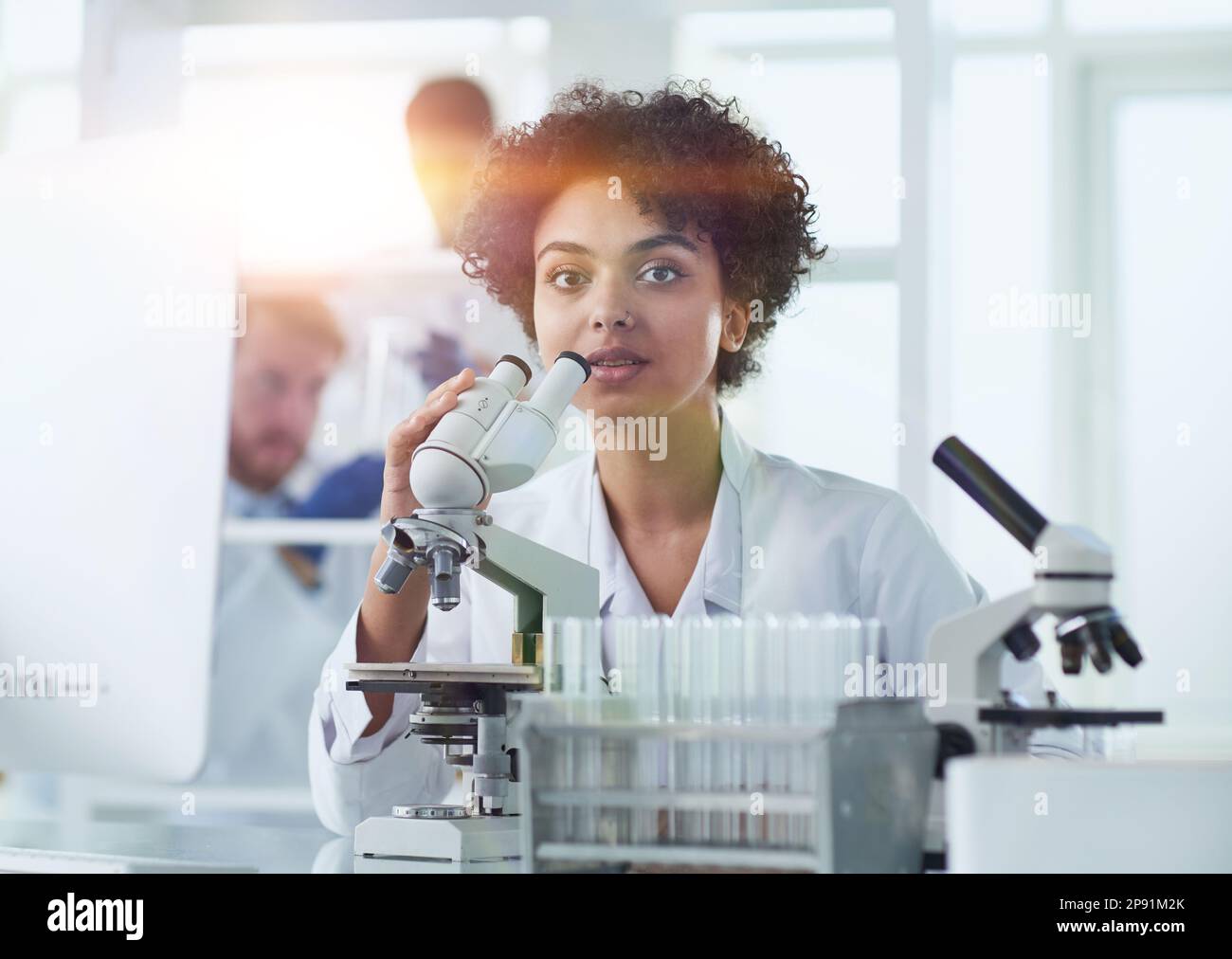 Female Scientist Working in The Lab Stock Photo - Alamy
