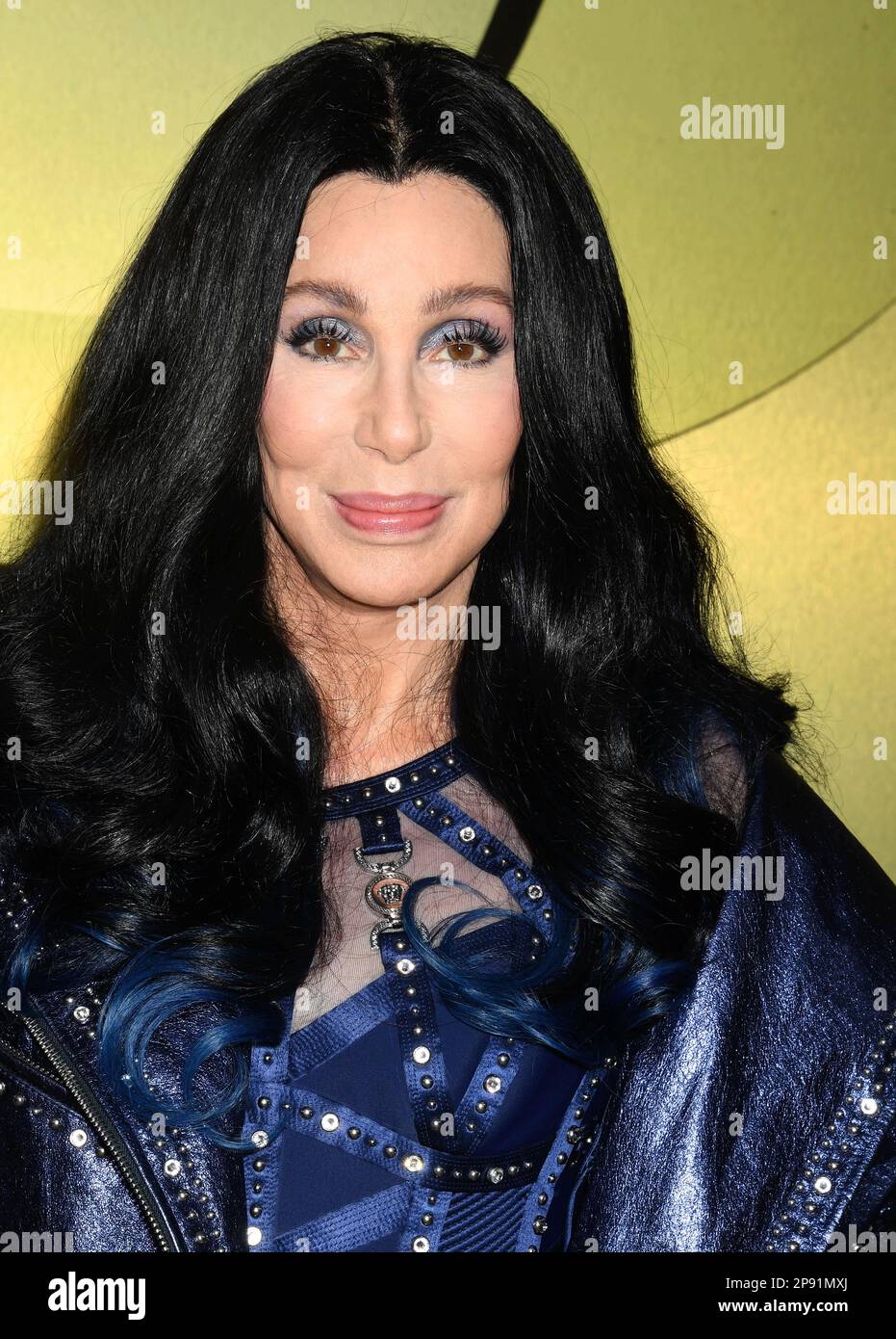 WEST HOLLYWOOD, CALIFORNIA - MARCH 09: Cher attends the Versace FW23 ...