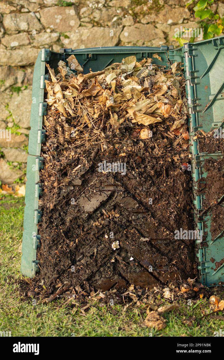 Outdoor compost bin was opened to extract mature compost formed in the ...