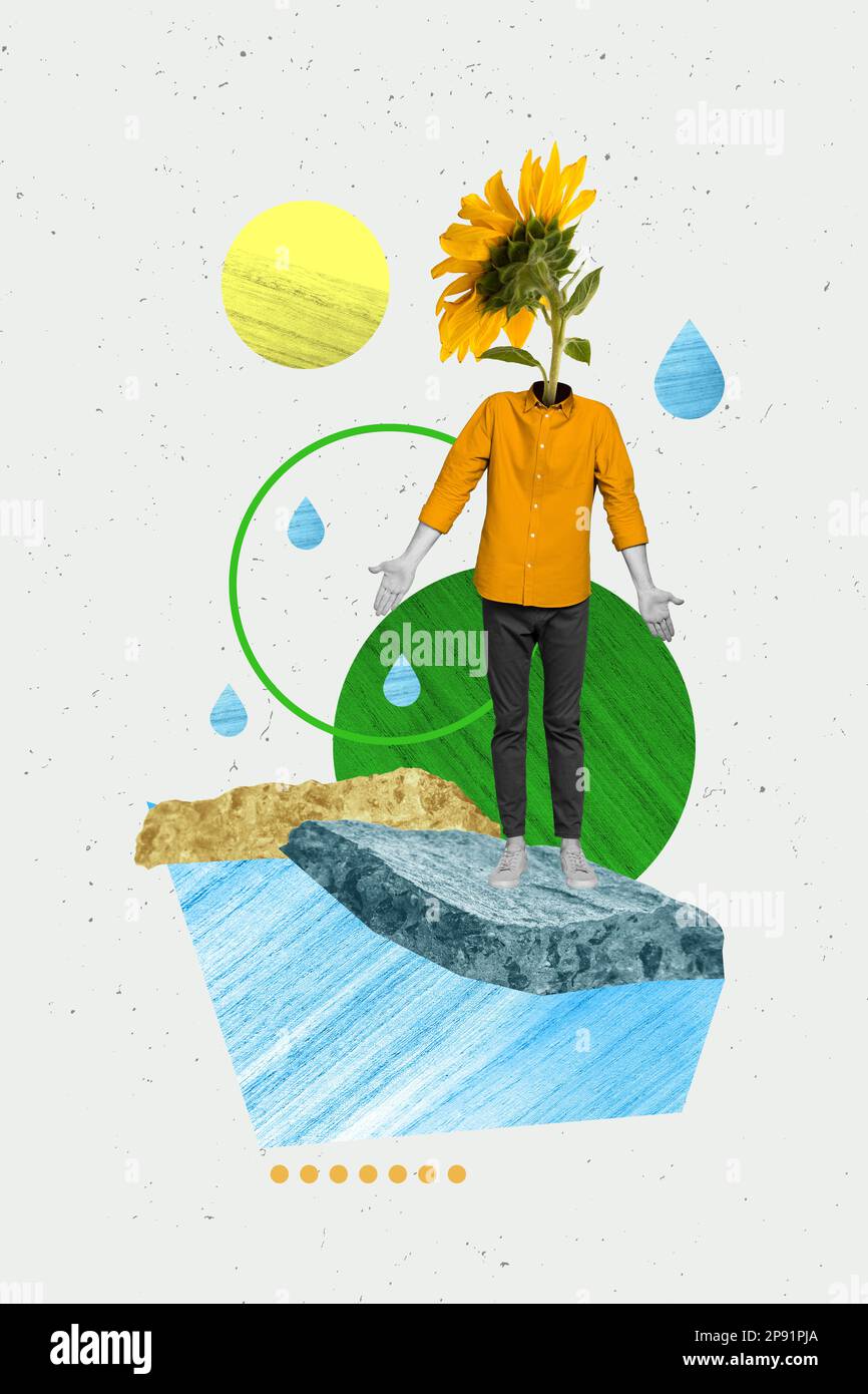 Weird dream artwork collage of young guy with sunflower face shrug ...
