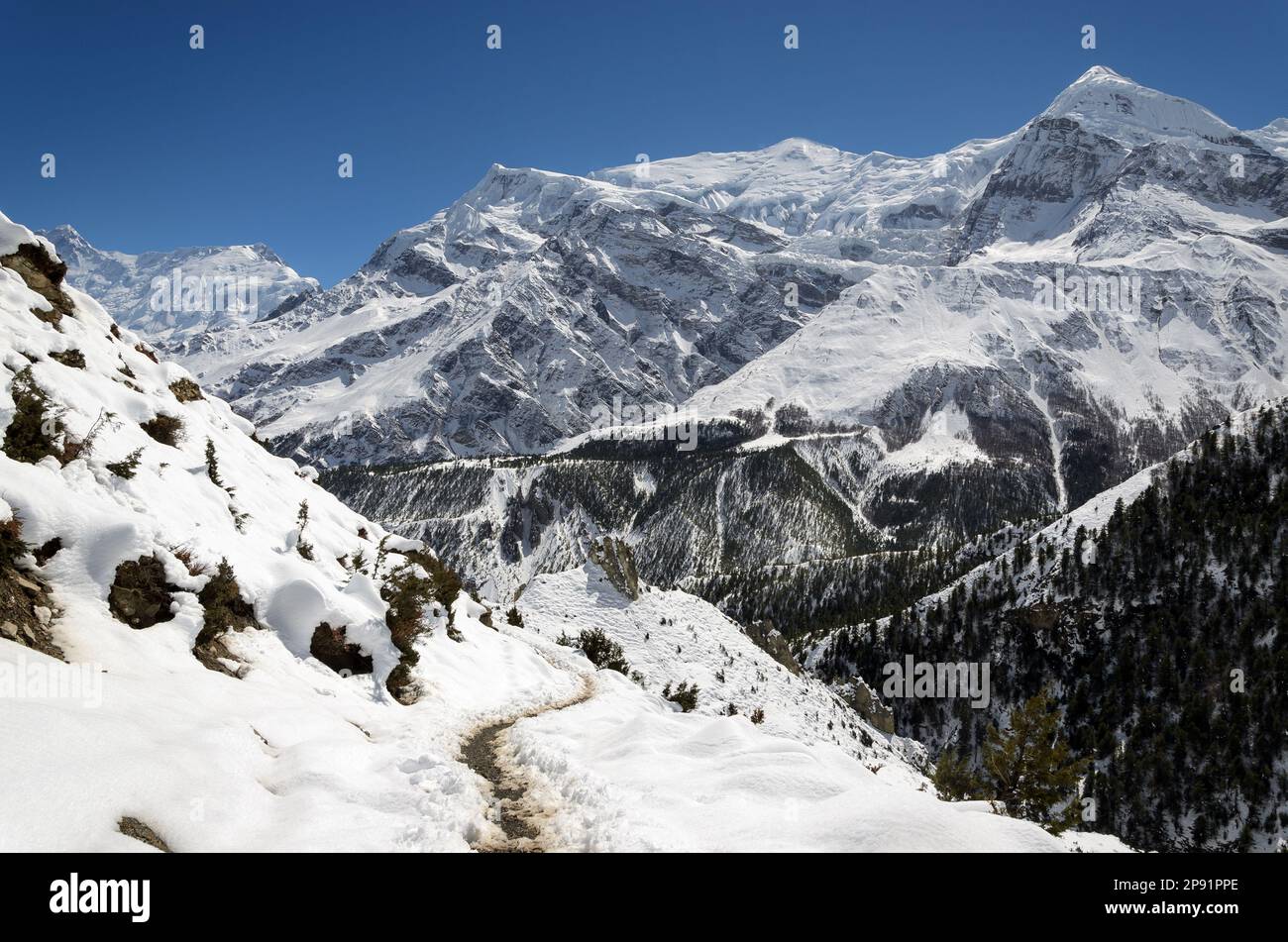View of the Annapurna massif from Manang. Annapurna Circuit trekking ...