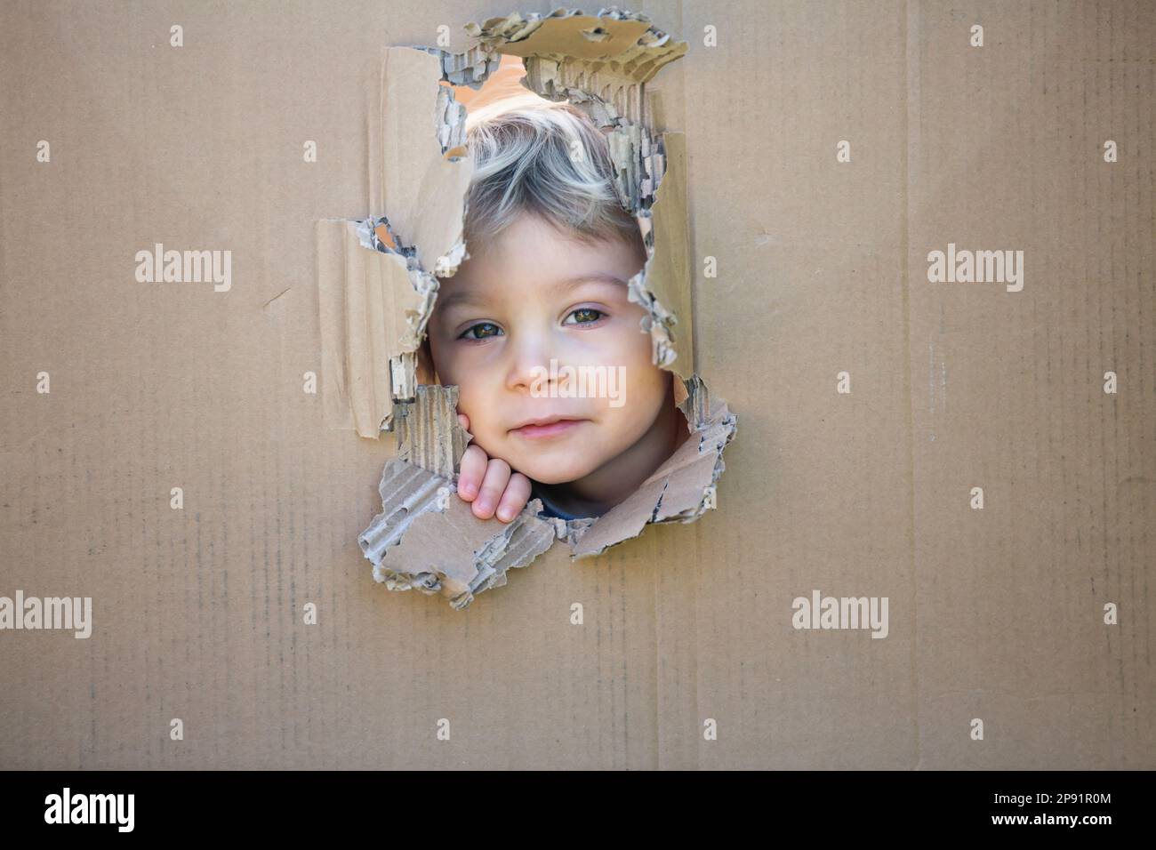 Sweet toddler child, cute blond boy, hiding in cardboard box, looking ...