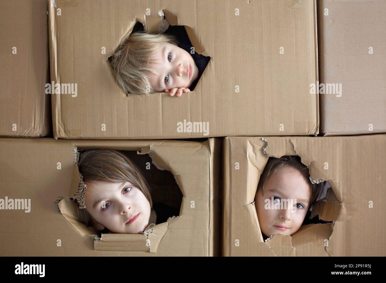 Sweet children, boy brothers, hiding in cardboard box, looking out ...