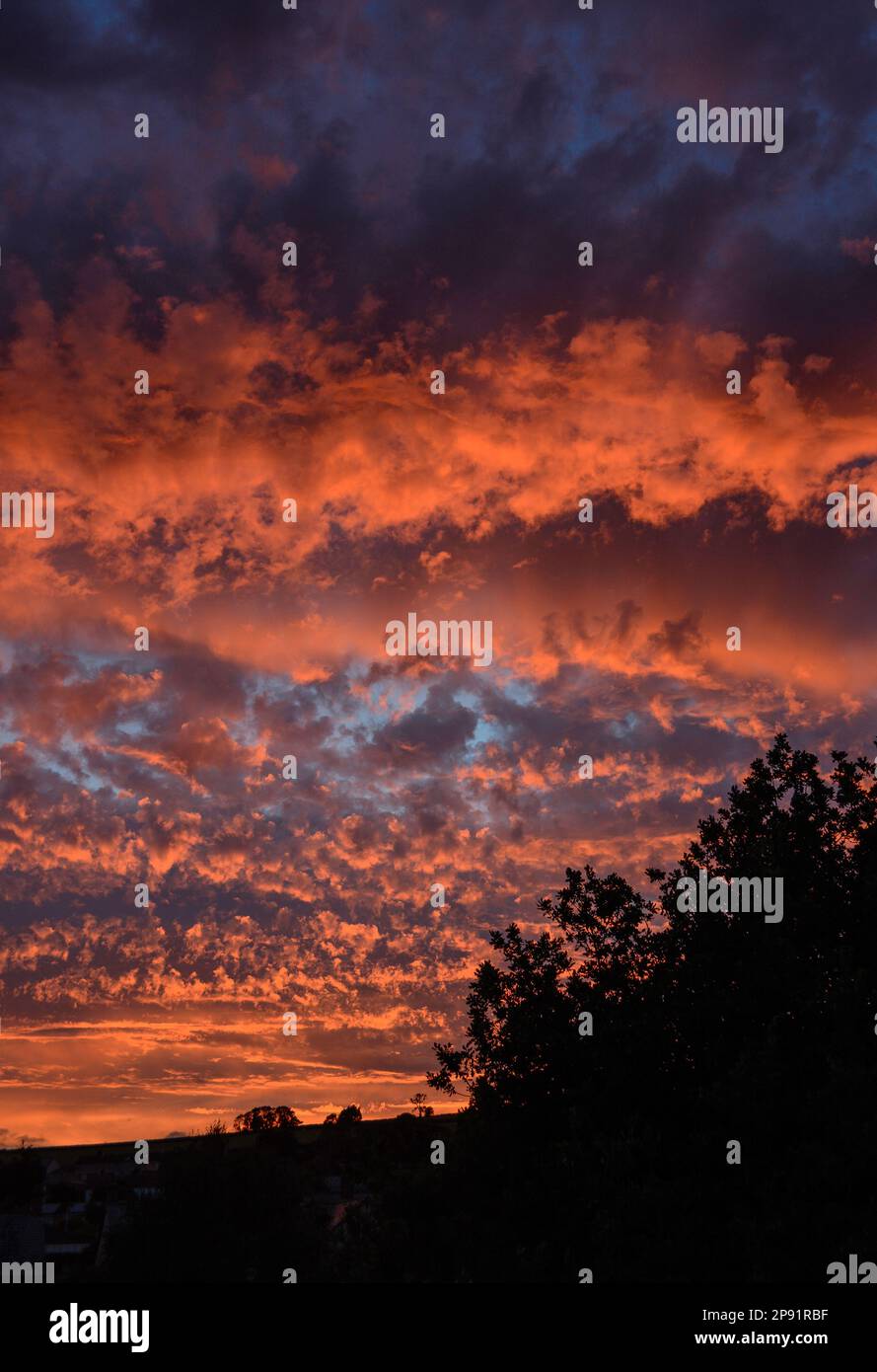 Clouds colours orange pink red sunset trees hi-res stock photography ...