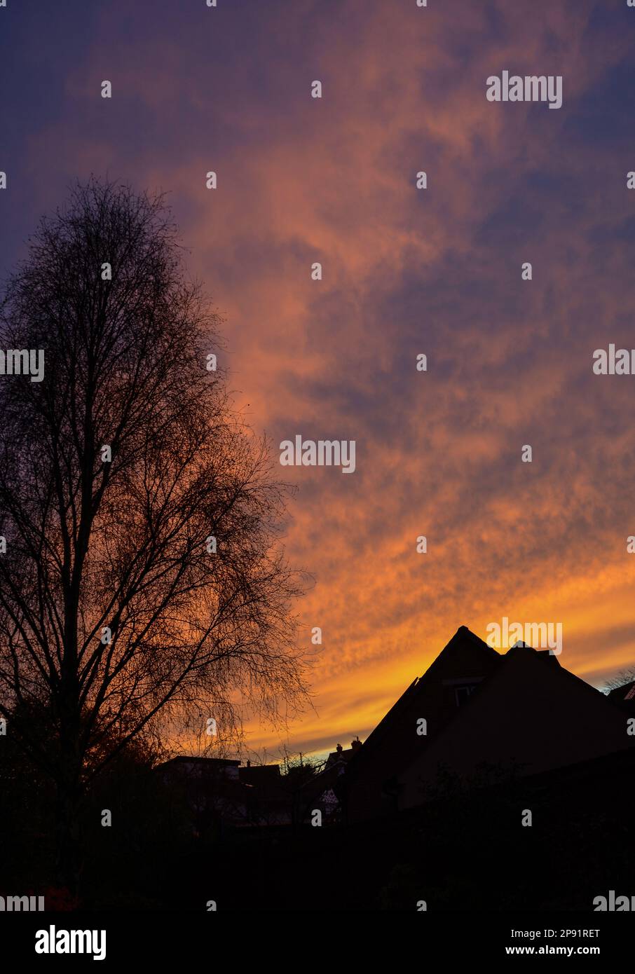 Vibrant winter sunset, Bradninch, Devon Stock Photo - Alamy