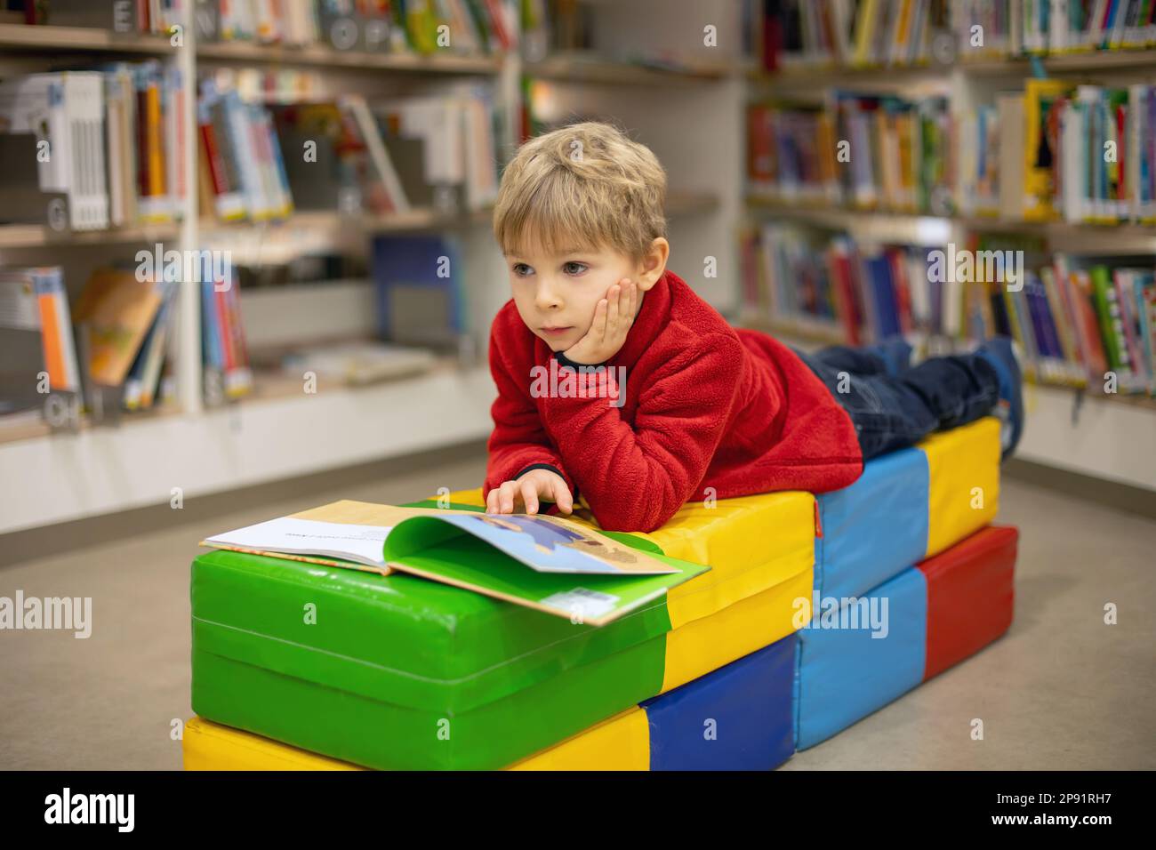 Adorable little child, boy, sitting in library, reading book and ...