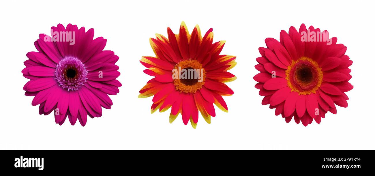 Set of flowers of red flowers. Tropical floral elements. Tropical ...