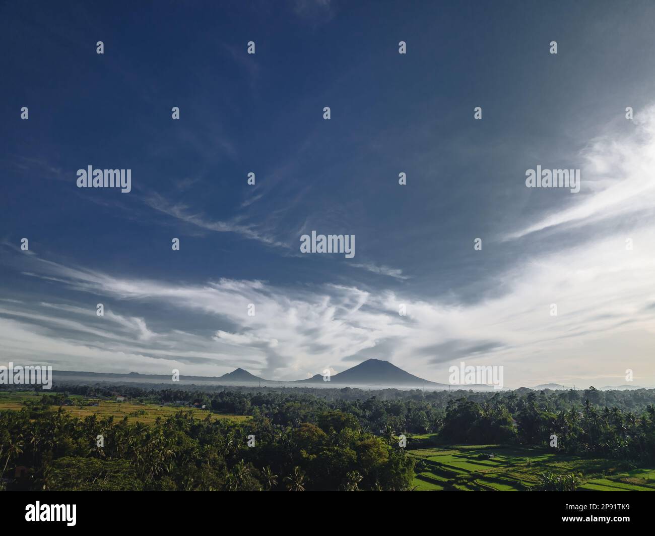Rice Terrace and volcano in background, Ubud, Bali, Indonesia. Top view ...