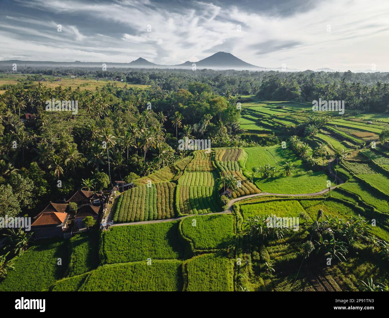 Rice Terrace, Ubud, Bali, Indonesia. Top view Stock Photo - Alamy