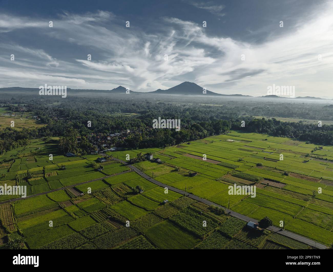 Rice Terrace, Ubud, Bali, Indonesia. Top view Stock Photo - Alamy