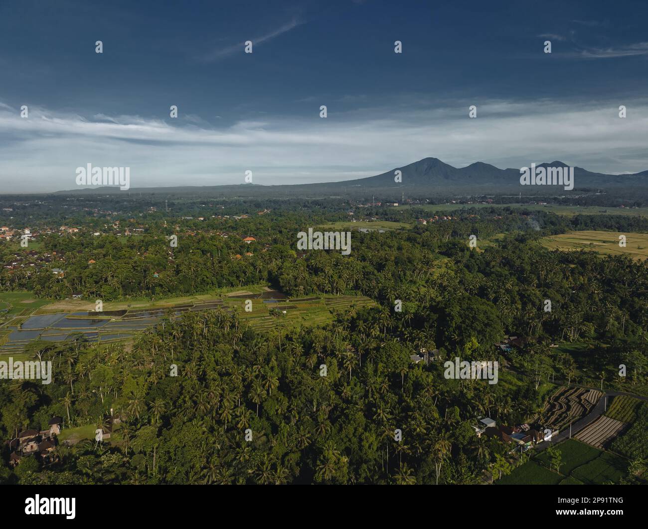 Rice Terrace and volcano in background, Ubud, Bali, Indonesia. Top view ...