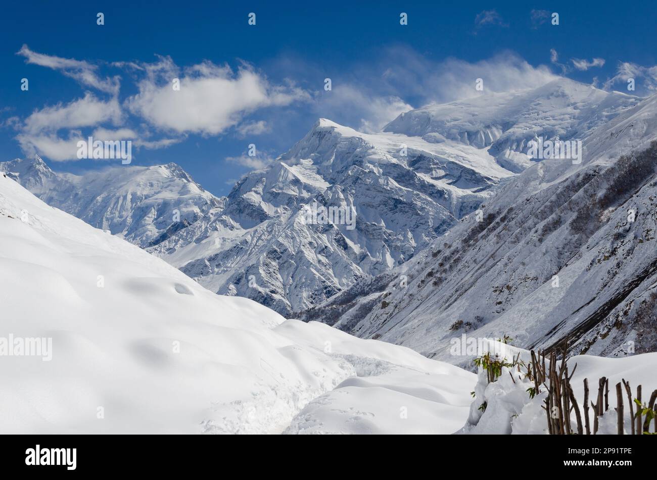 View of the Annapurna massif from Manang. Annapurna Circuit trekking ...