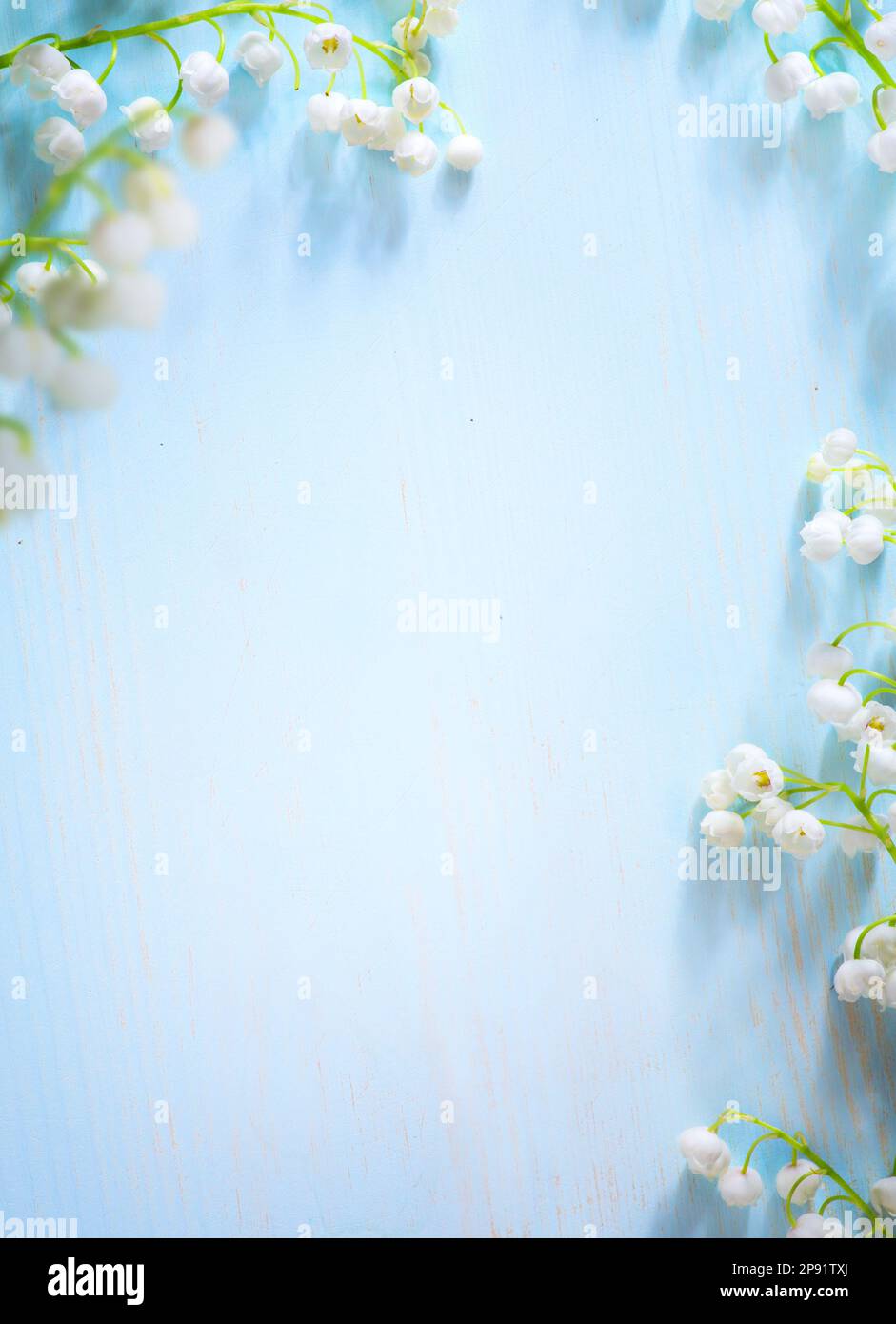 Spring flower border on blue background; white spring blossom border ...