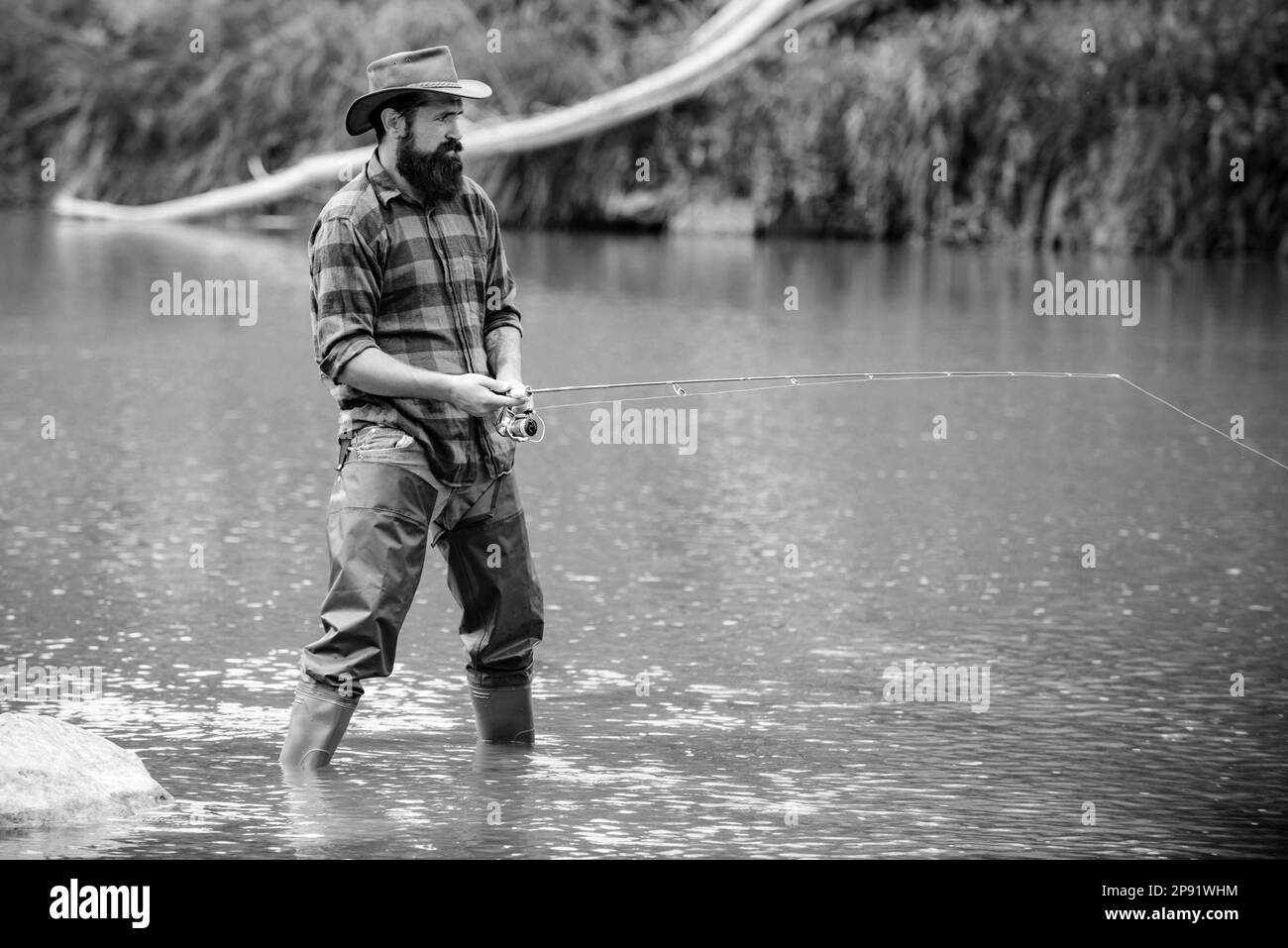 Serious bearded fisher in water. Mature man fly fishing. Fishing is fun ...