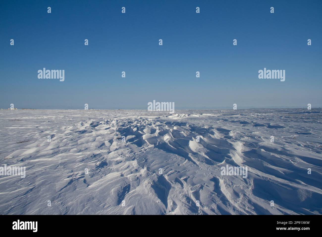 Beautiful patterns of sastrugi, parallel wavelike ridges caused by ...