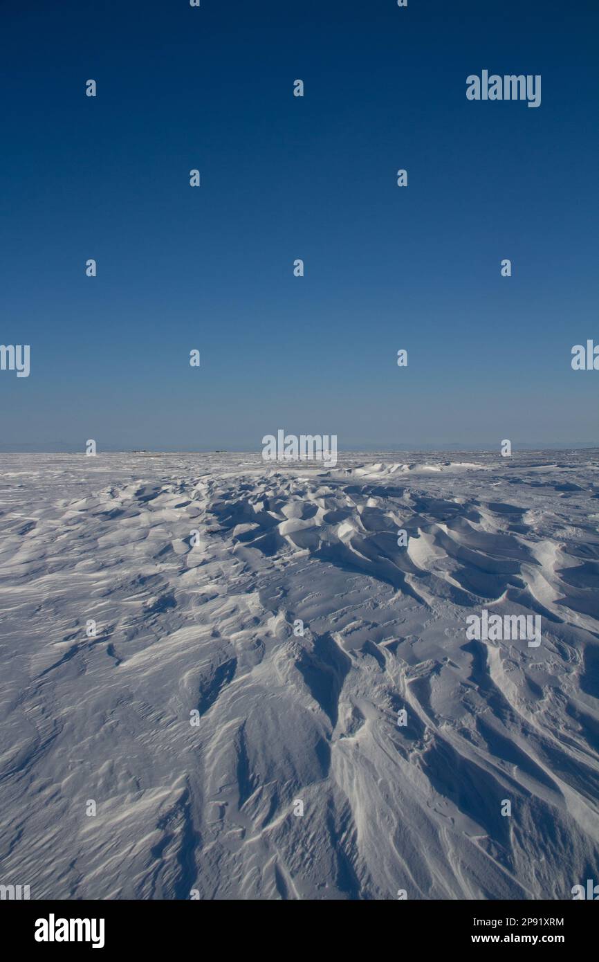 Beautiful patterns of sastrugi, parallel wavelike ridges caused by ...