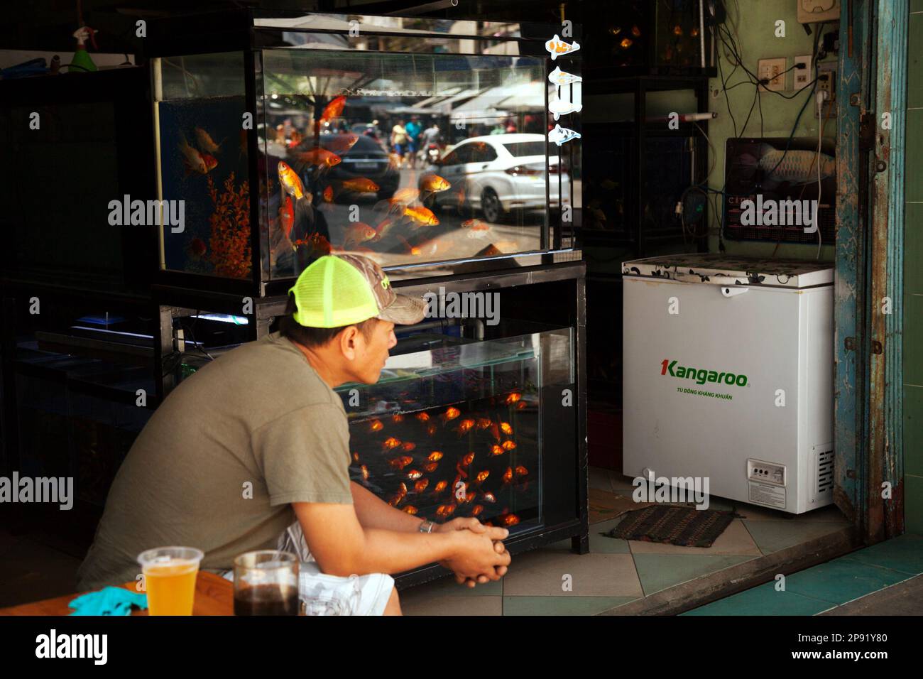 Nha Trang, Vietnam - March 31, 2018: Goldfish seller waiting for ...