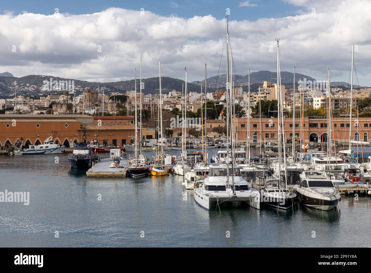 Marina with moored sailing yachts in the port of Palma, Majorca ...