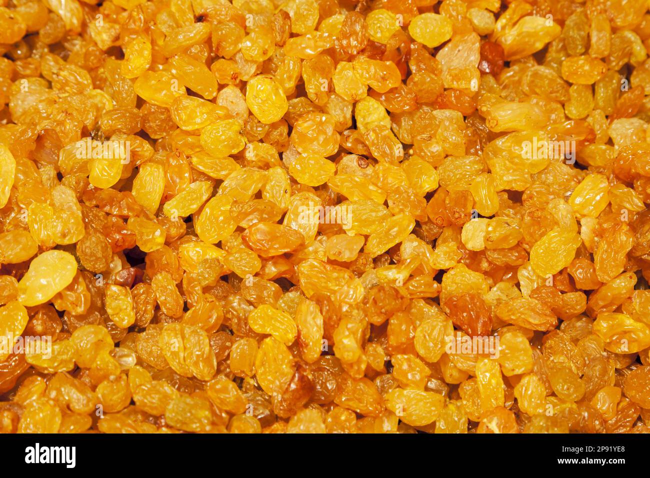 Sweet yellow raisins ingredient close-up background. Plenty of dried ...