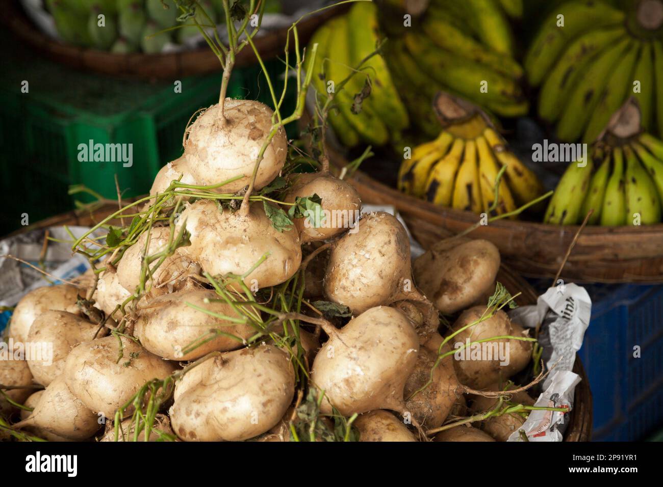 Pile of white raw turnips and bananas at a farmers market. Many ...