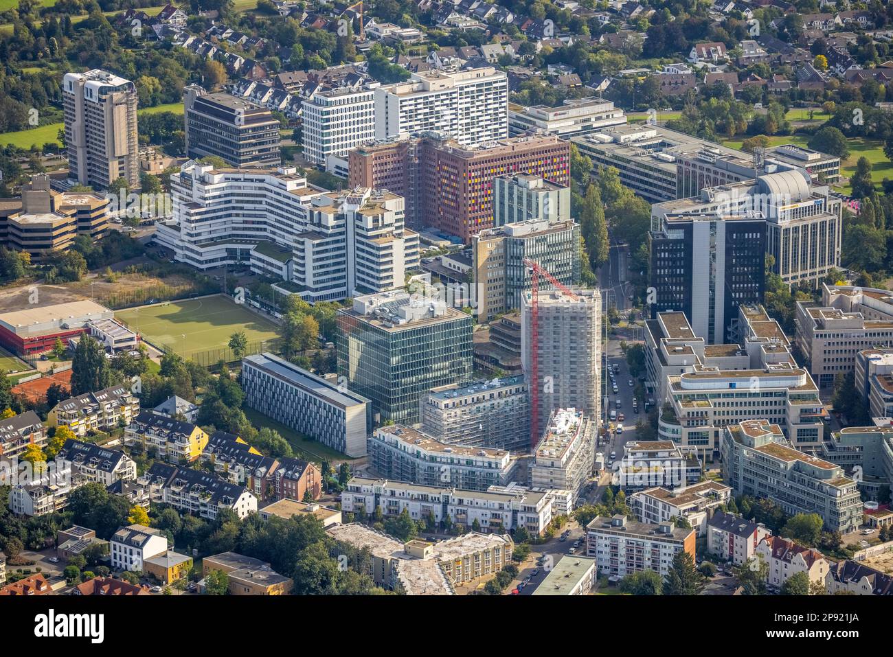 Am seestern hi-res stock photography and images - Alamy