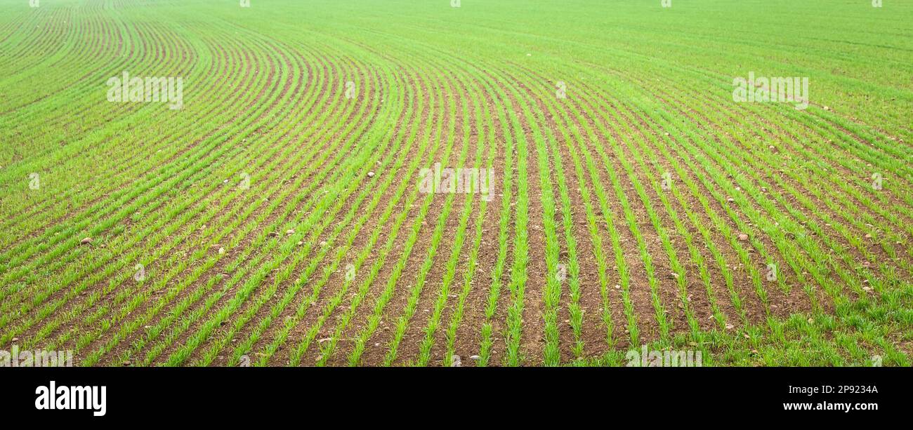 Natural environment background useful for concepts related to country ...