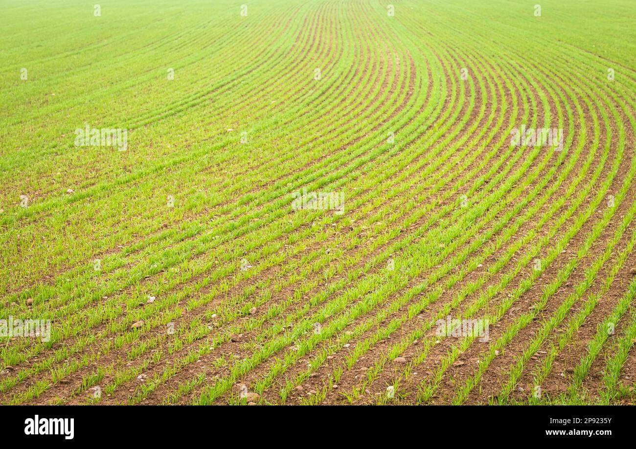 Natural environment background useful for concepts related to country ...