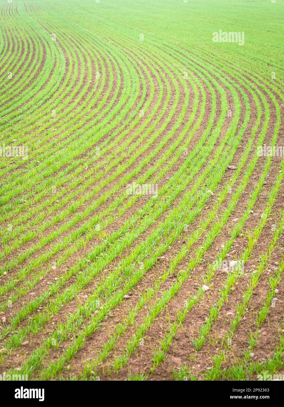 Natural environment background useful for concepts related to country ...