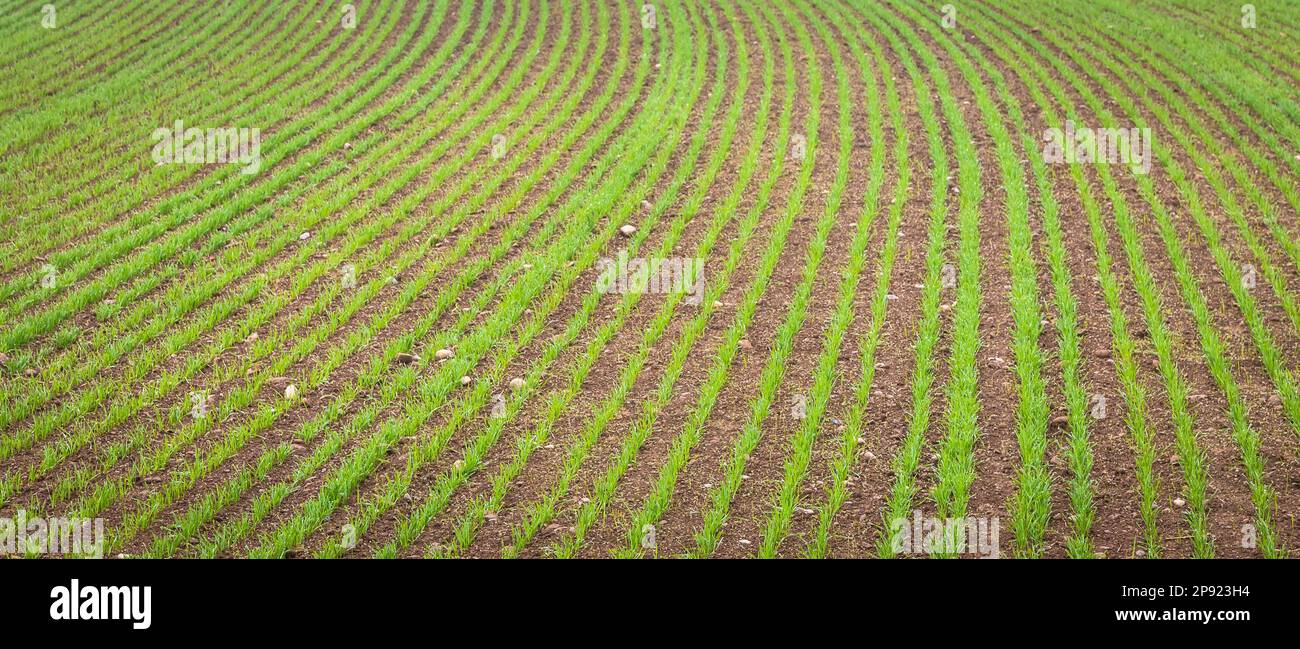 Natural environment background useful for concepts related to country ...