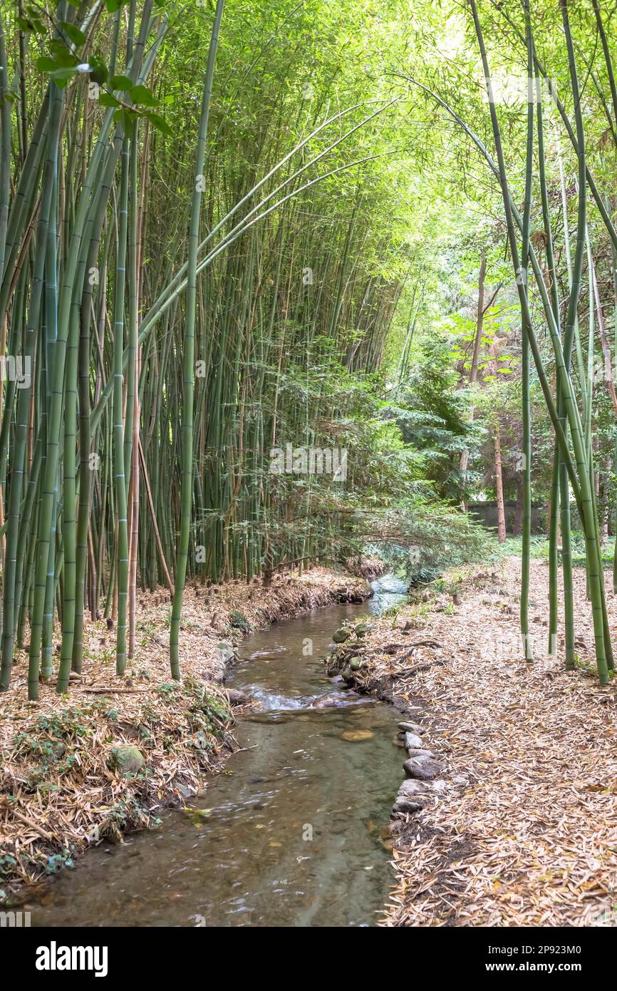 Zen environment hi-res stock photography and images - Alamy