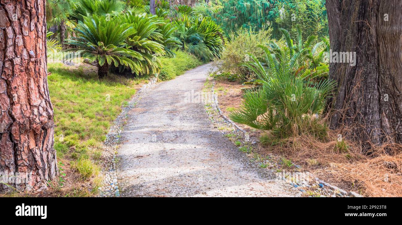 Relaxing and peaceful pathway in botanical garden during summer season ...