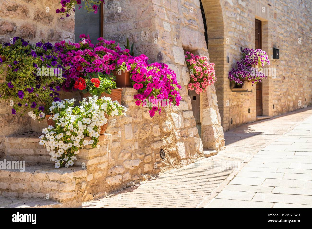 Assisi village in Umbria region, Italy. The town is famous for the most ...