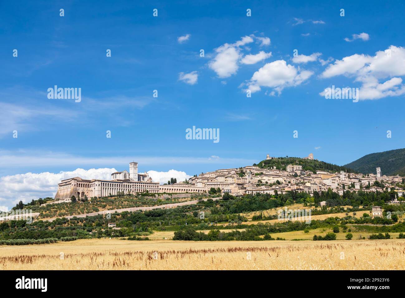 Assisi village in Umbria region, Italy. The town is famous for the most ...