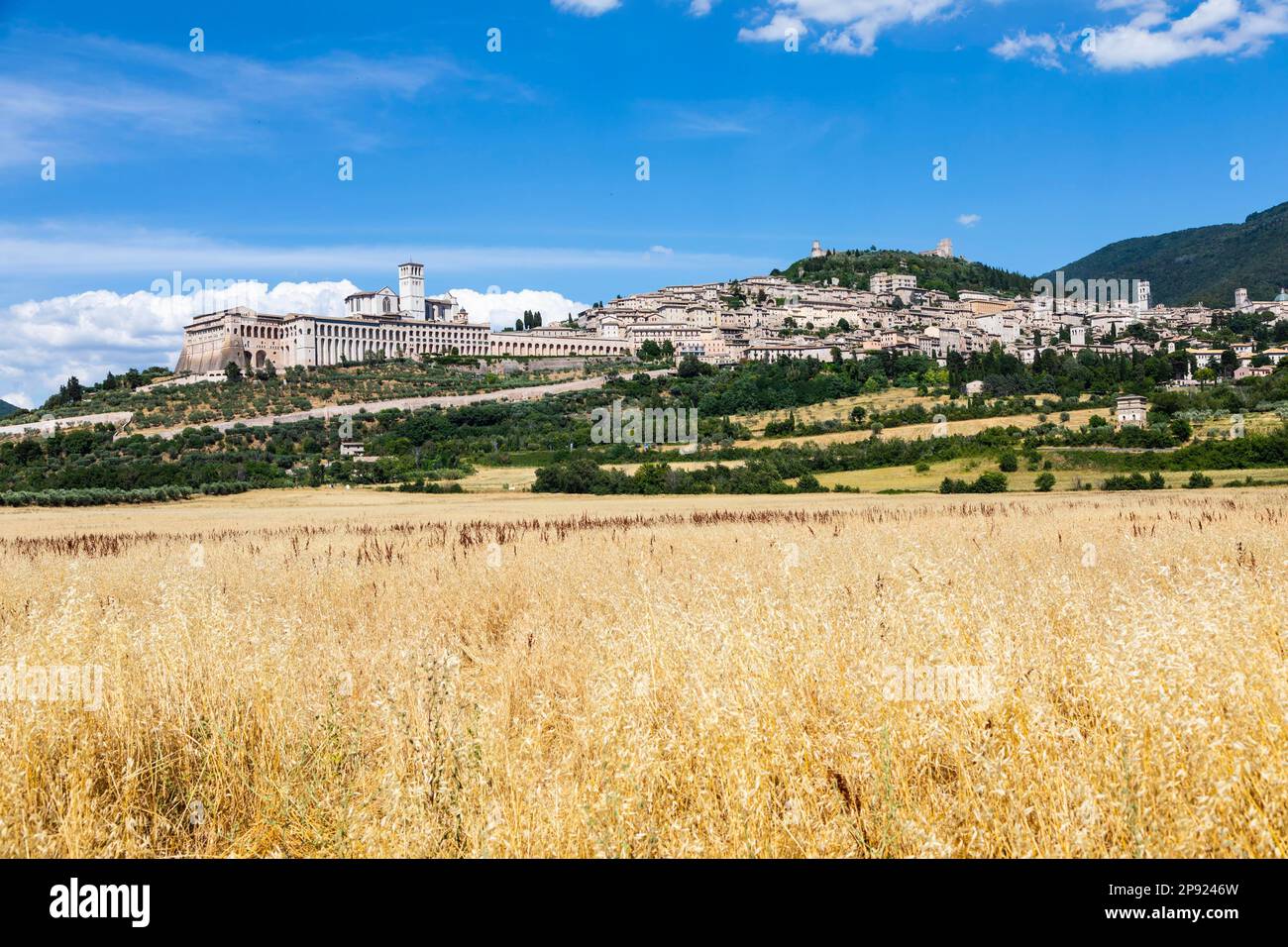 Assisi village in Umbria region, Italy. The town is famous for the most ...