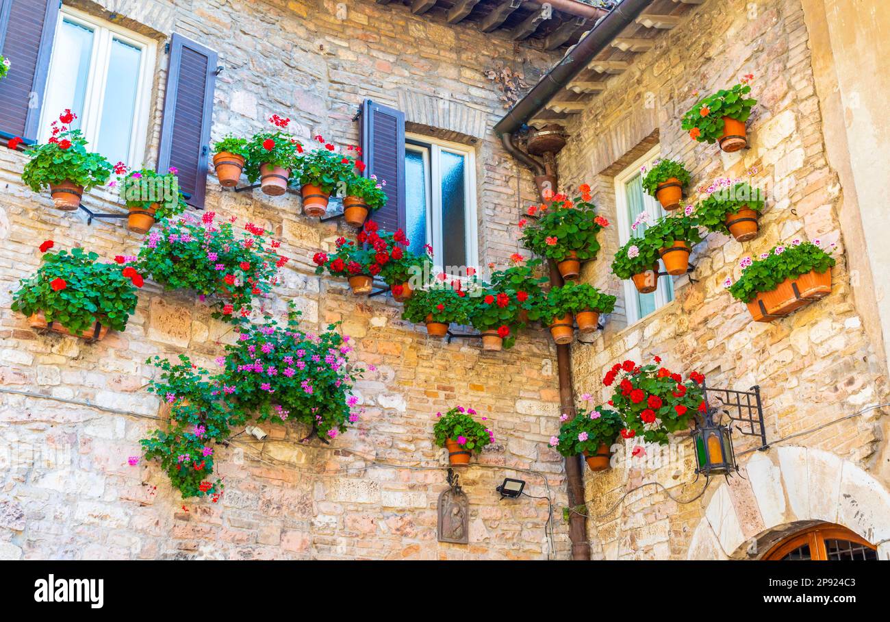 Assisi village in Umbria region, Italy. The town is famous for the most ...