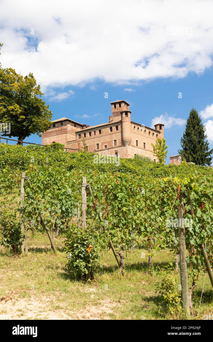Vineyard in Piedmont Region, Italy, with Grinzane Cavour castle in the ...
