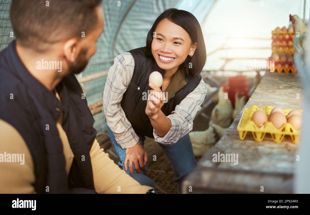 Asian woman, egg production and chicken farmers check barn, hen house ...