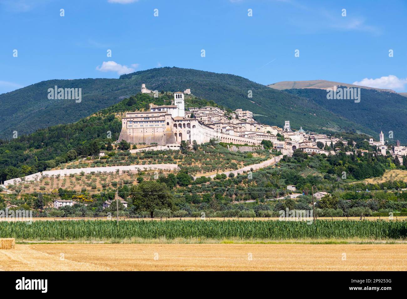 Assisi village in Umbria region, Italy. The town is famous for the most ...