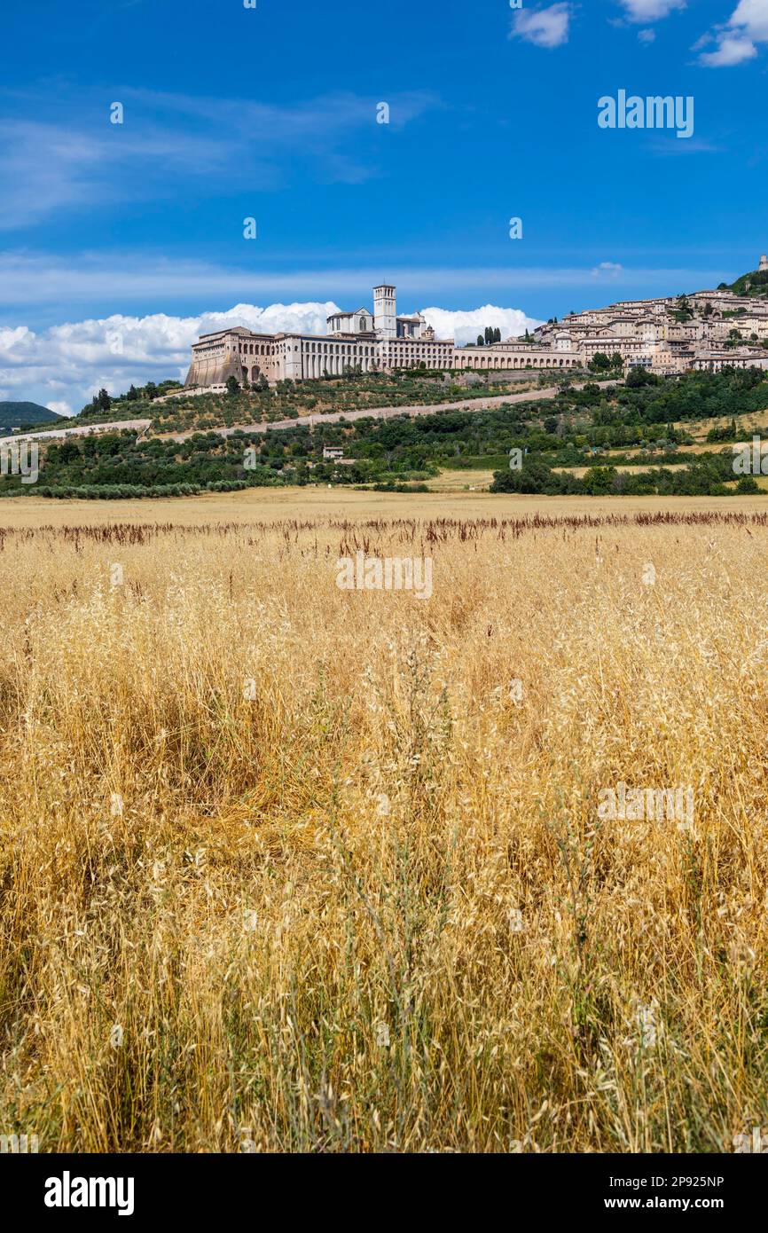 Assisi village in Umbria region, Italy. The town is famous for the most ...