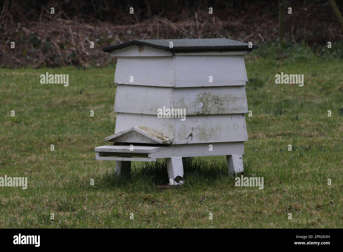 bee hive in a field Stock Photo - Alamy