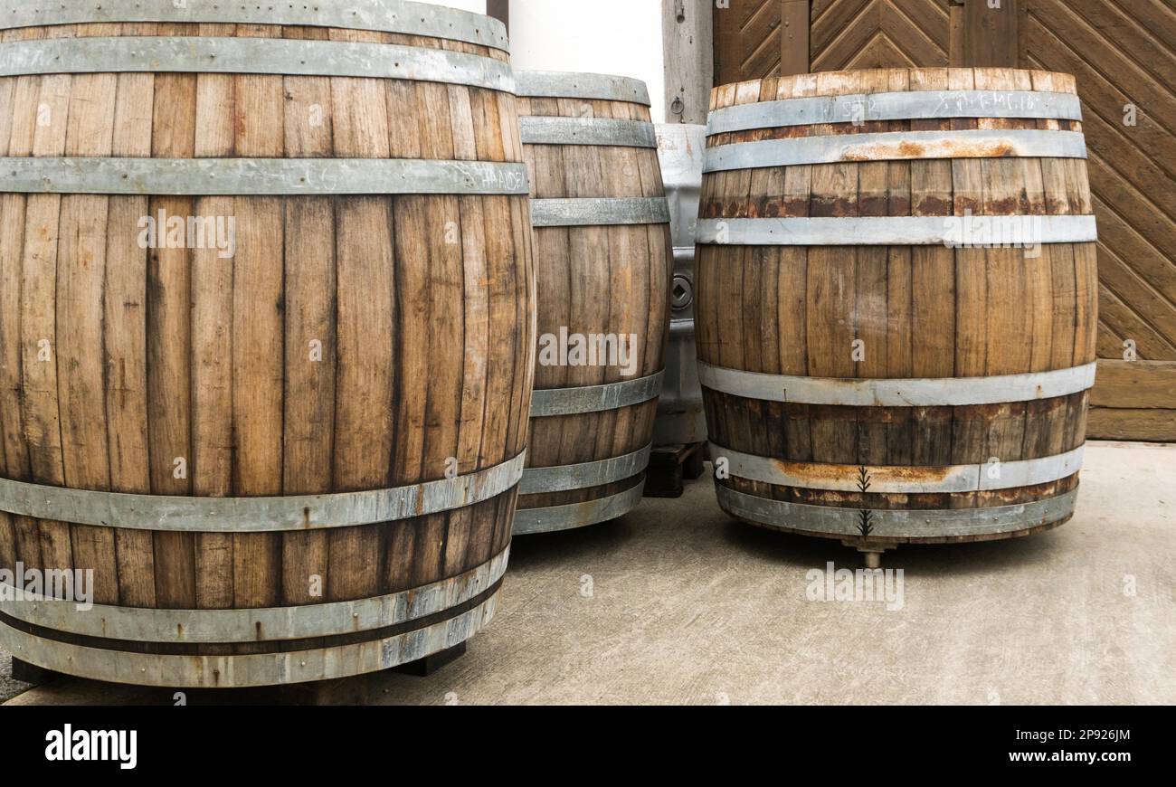 Old traditional oversize wooden barrels for aging red pinot noir grapes ...
