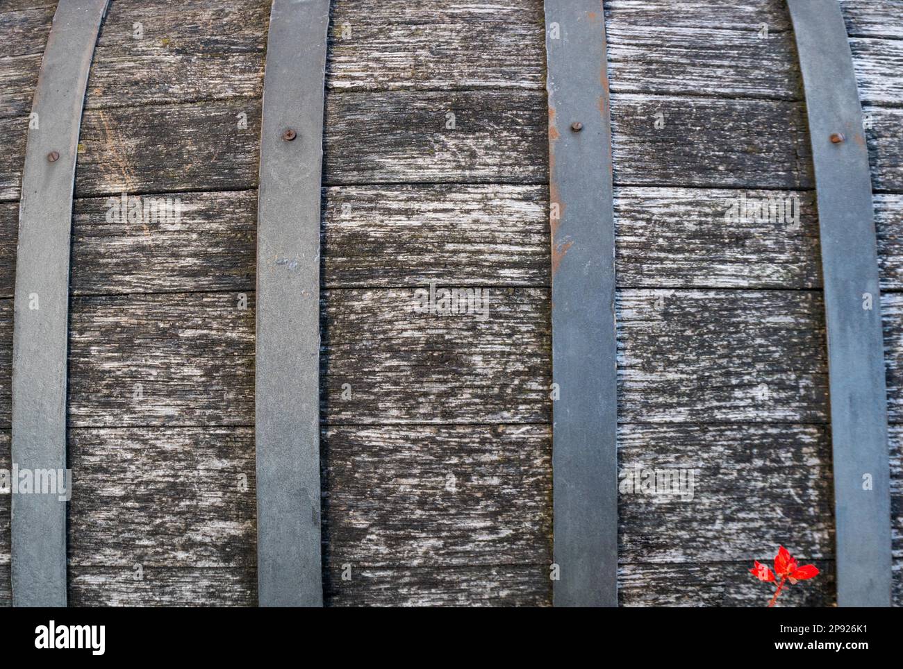 Horizontal detail view of a large brown wooden barrels or wine vat used ...