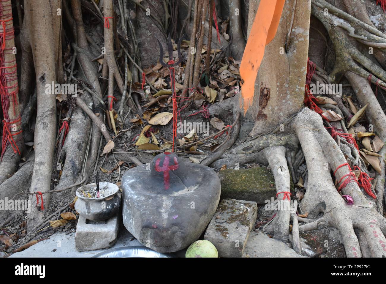 A shivalinga under a banyan tree in Unokoti , Tripura , India Stock ...