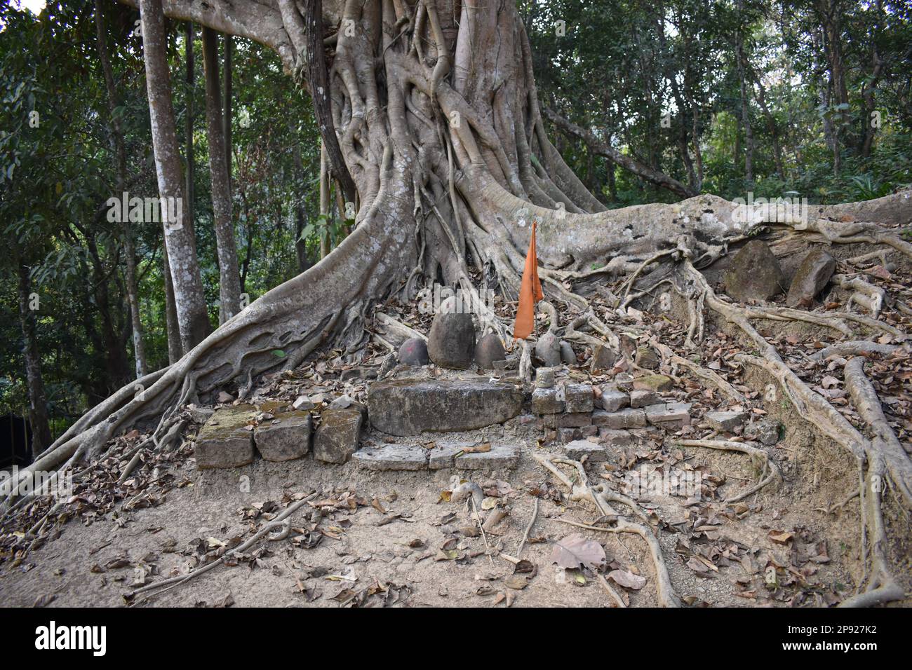 Shivalinga hi-res stock photography and images - Alamy