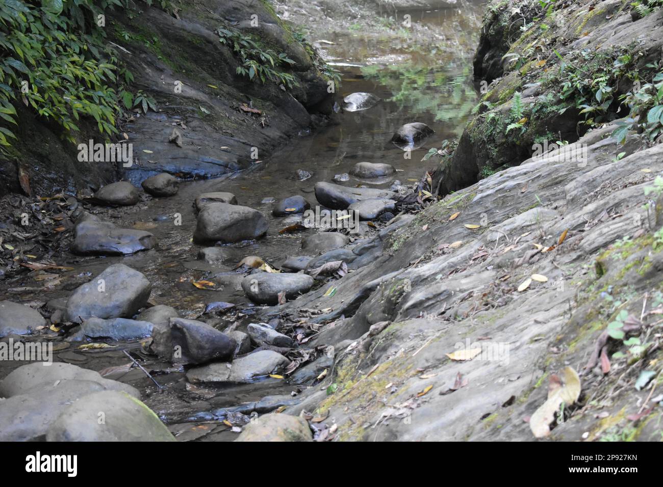 A small stream of water flowing through stones Stock Photo - Alamy