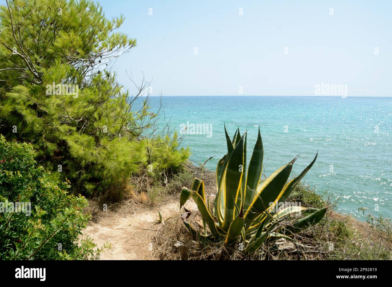 Wonderful Sicily with the scents of the Mediterranean scrub with ...