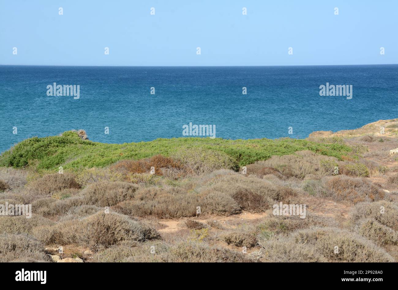 Wonderful Sicily with the scents of the Mediterranean scrub with ...