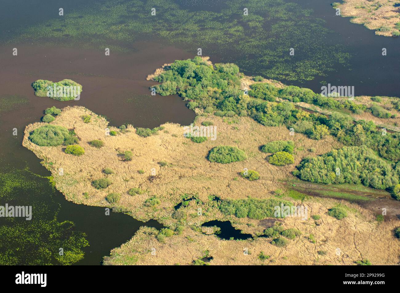 Aerial photograph of Lake Duemmer with reed zone, inland lake, aerial ...