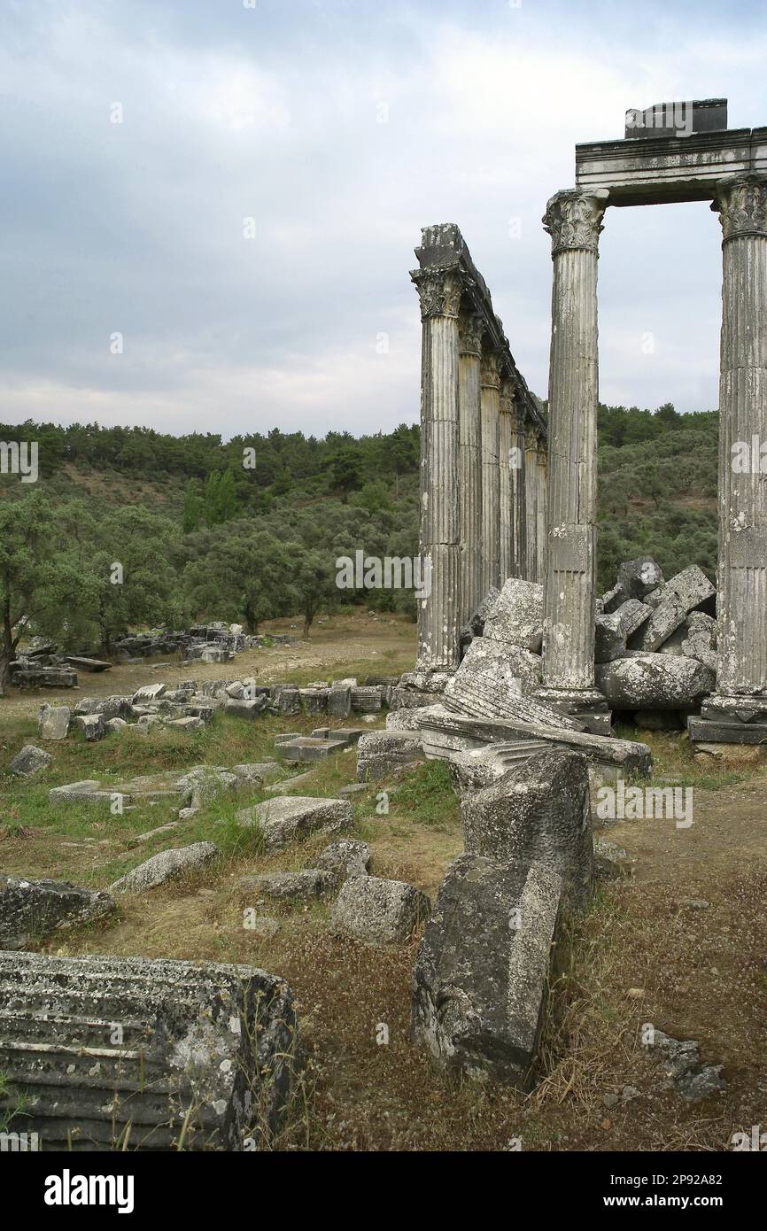 Temple of Zeus, Euromos, Turkey Stock Photo - Alamy